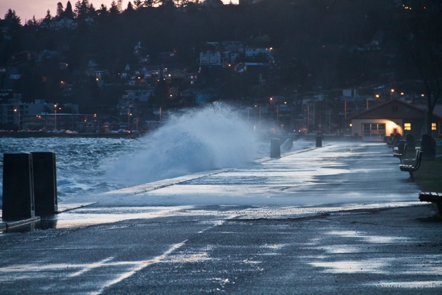 SLIDESHOW: High tide, wind mark the dawn of spring in West Seattle ...